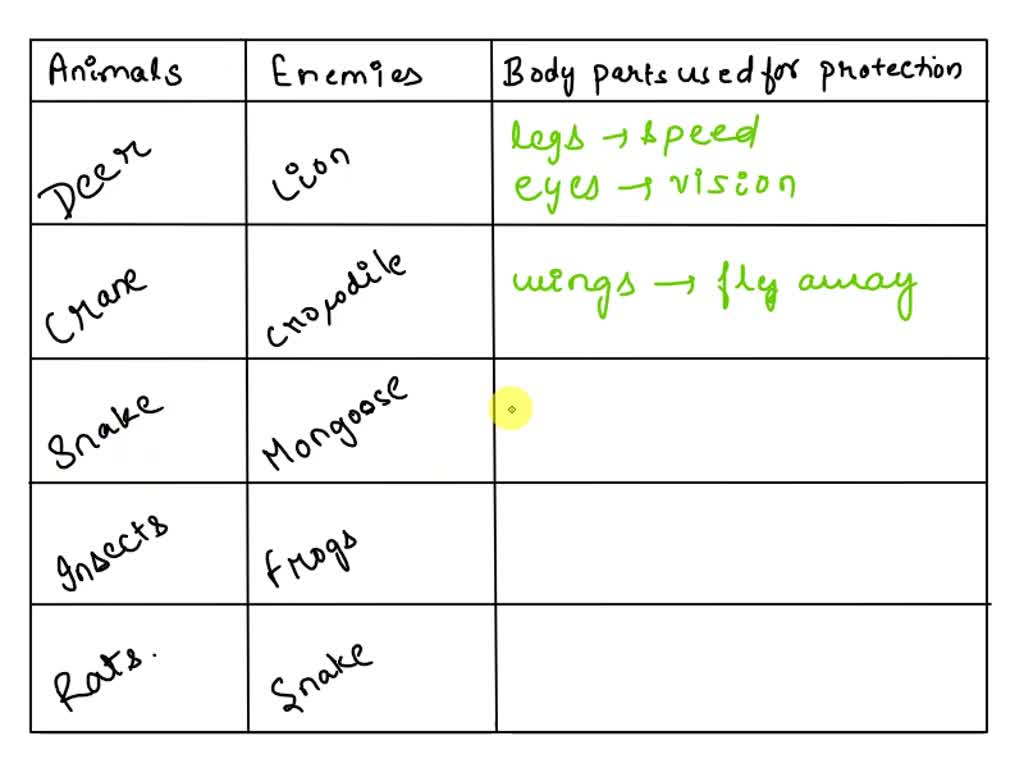 SOLVED: 1. List down five animals you are familiar with. 2. Identify ...