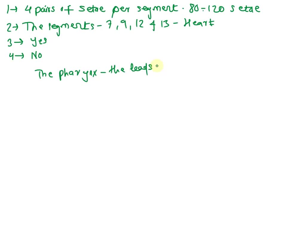 SOLVED: 1. How many setae are on each segment of the earthworm? Are ...