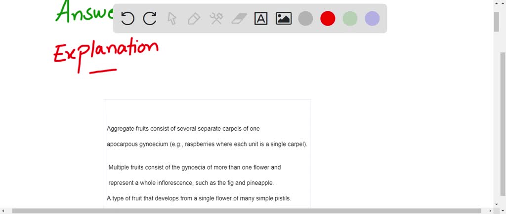 SOLVED:Technically speaking what is a fruit? Explain the differences ...