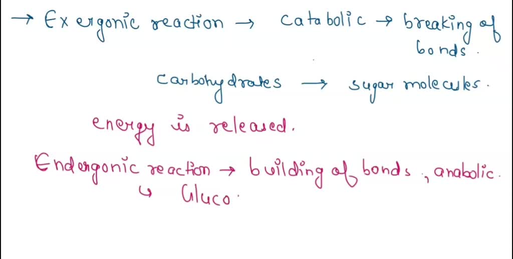 SOLVED: 0 What are the differences between endergonic and exergonic ...