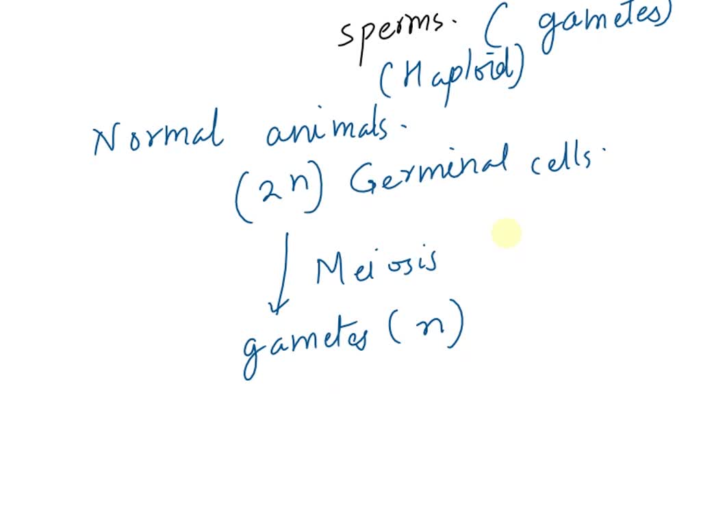 SOLVED: *46. Female bees are diploid, and male bees are haploid The ...