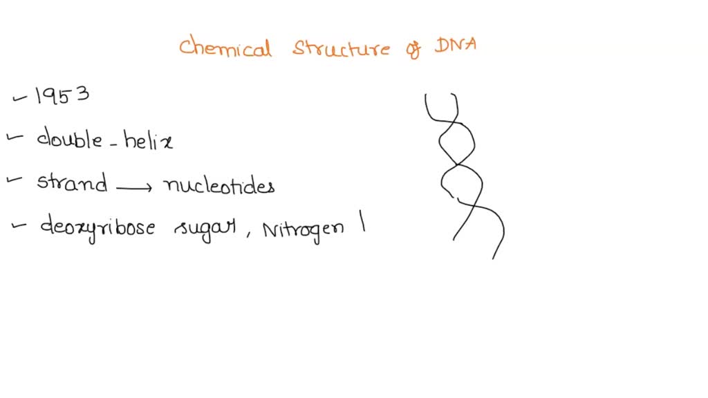SOLVED: principle of genetics: chapter 10: describe the chemical ...