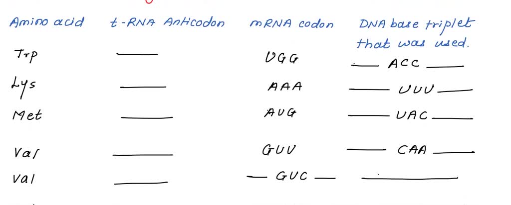 SOLVED: QUESTION: "In most organisms, AUG and AUA triplets encode ...