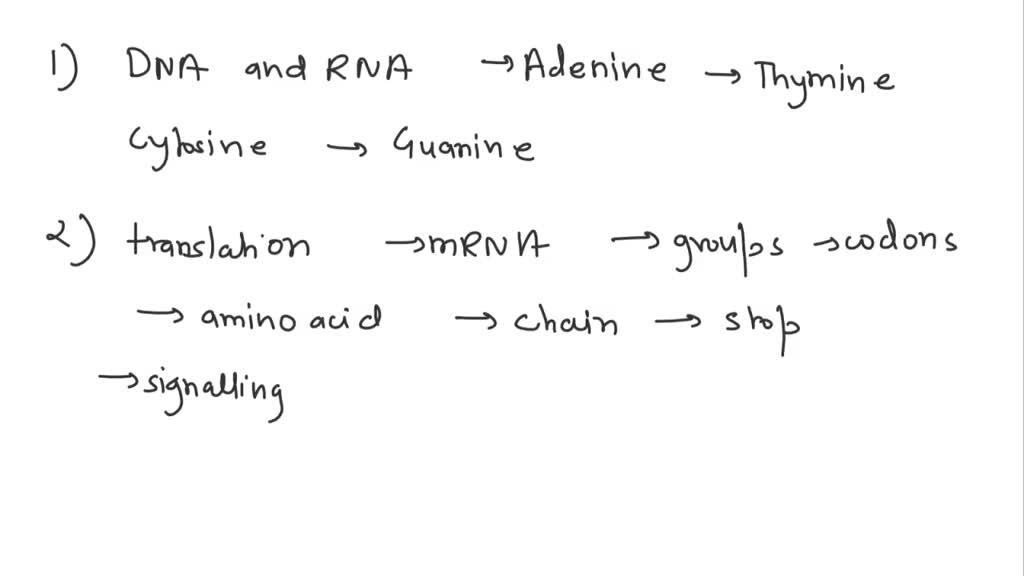 SOLVED: What are the base-pairing rules between DNA and RNA nucleotides that create mRNA during ...