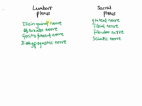 Nerves enervating the pelvic region and the anterior leg are...