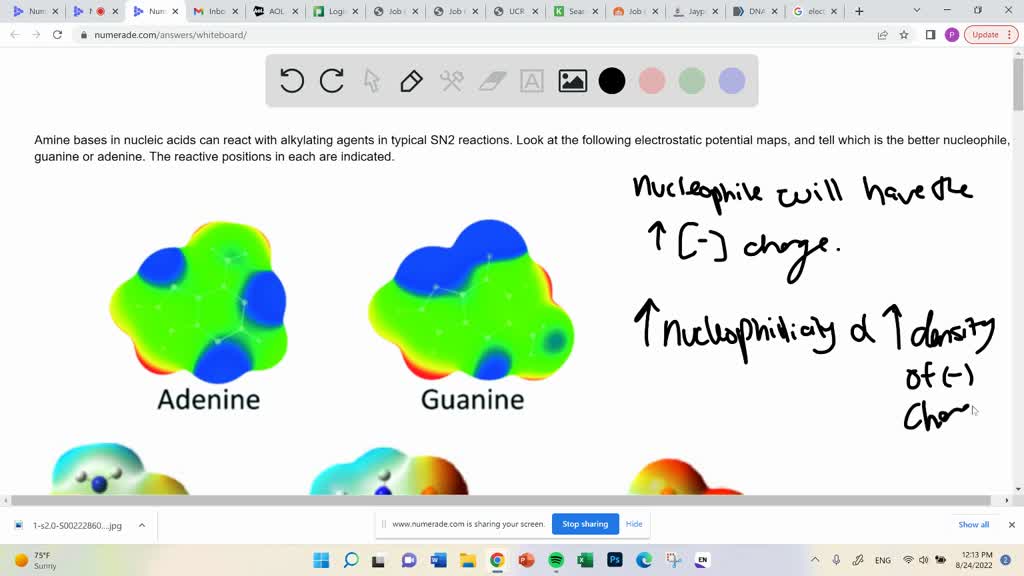 SOLVED: Amine bases in nucleic acids can react with alkylating agents in typical SN2 reactions ...