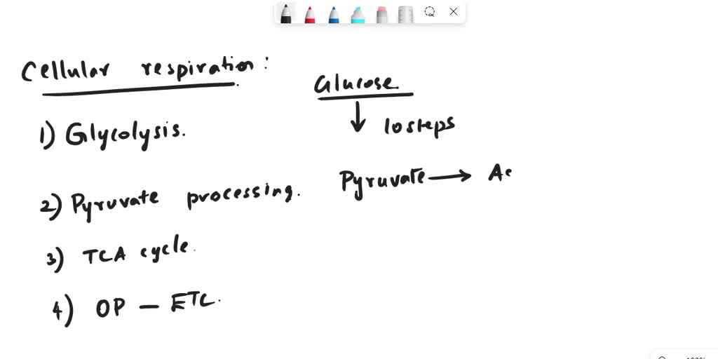 SOLVED: How do glycolysis, pyruvate processing, the Krebs cycle, and the electron transport ...