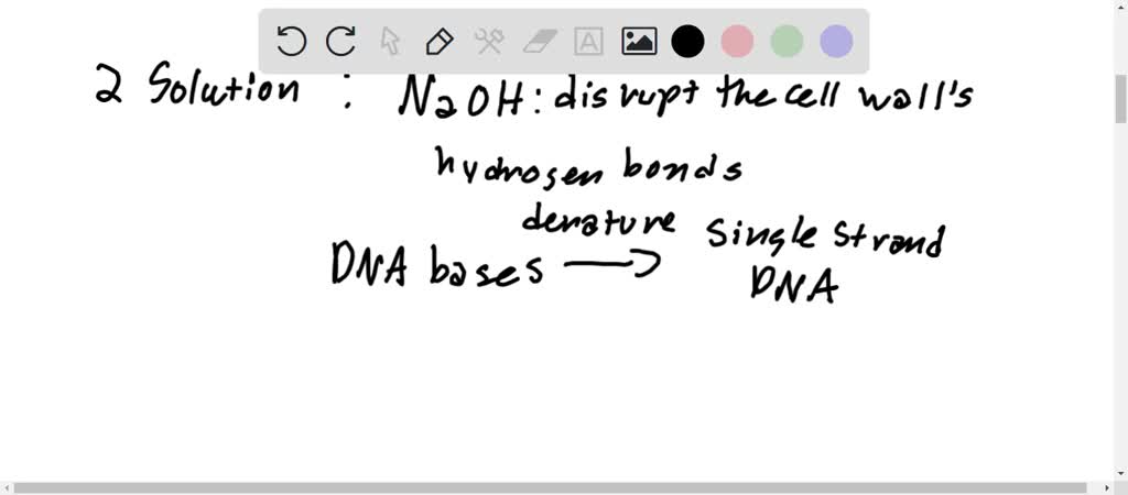 SOLVED: How does using an alkaline protocol-NaOH (Lysis buffer) and Sodium Acetate ...