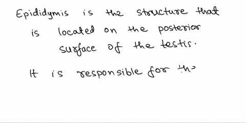 3 Male reproductive system Using the description of each...