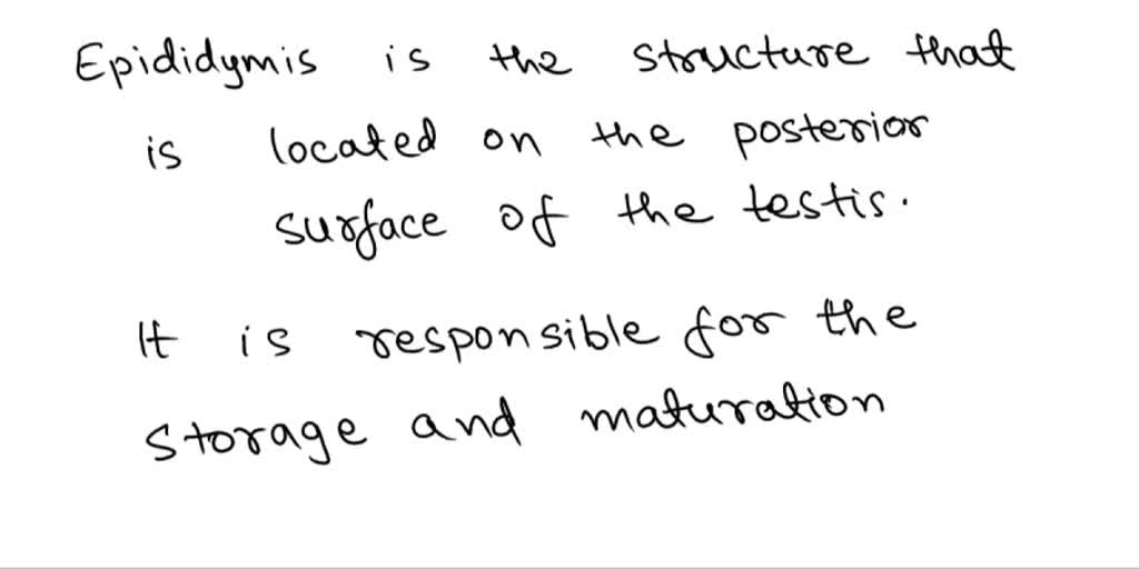 SOLVED: Using the description of each structure detailed in the hints ...