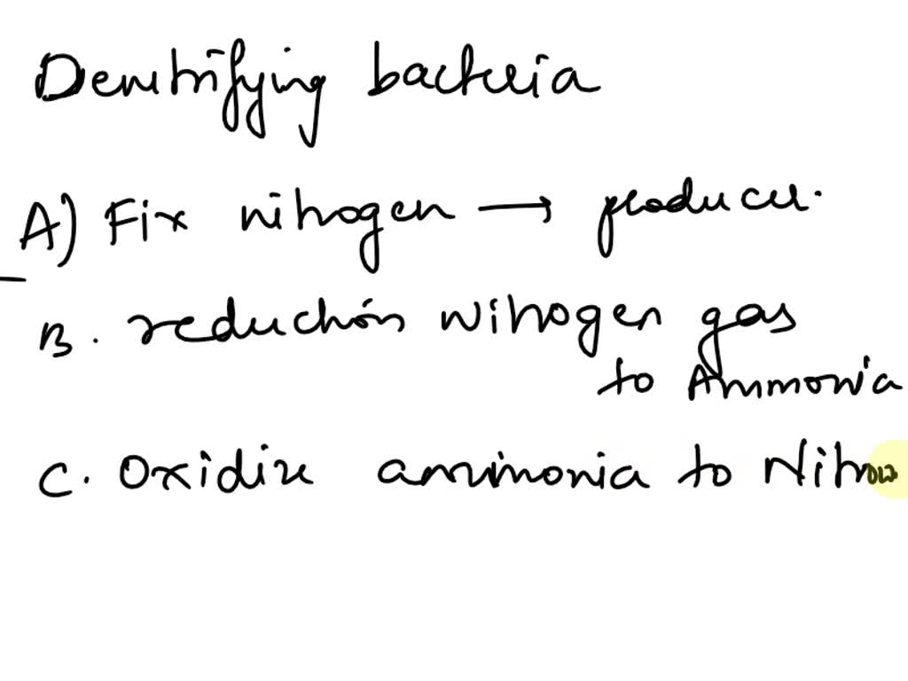 SOLVED: Denitrifying bacteria are capable of which one? A. Fix nitrogen ...