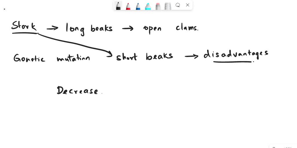 SOLVED: Storks are waterbirds with long beaks. Most storks use their ...
