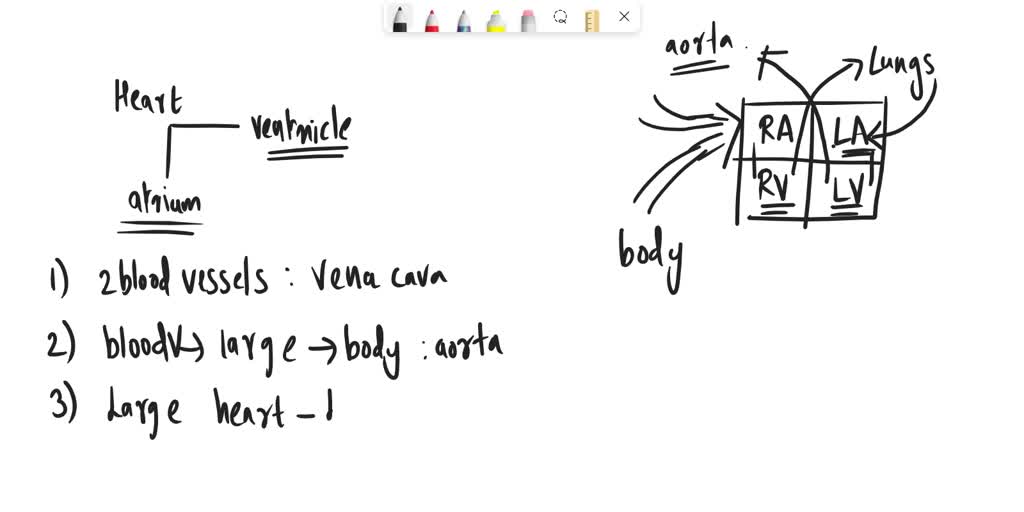 SOLVED: Texts: PLEASE ANSWER 1. Anatomy Checklist: Identify the structures of the heart on ...