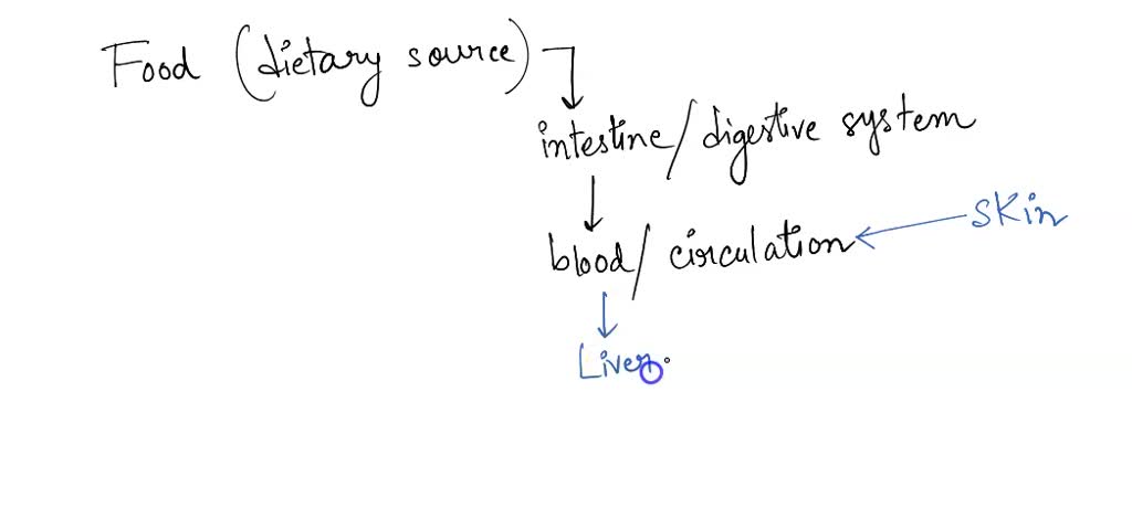 SOLVED: Text: Part D Synthesis of Calcitriol and Its Effect on the Body ... SOLVED: Text: Part D Synthesis of Calcitriol and Its Effect on the Body ...