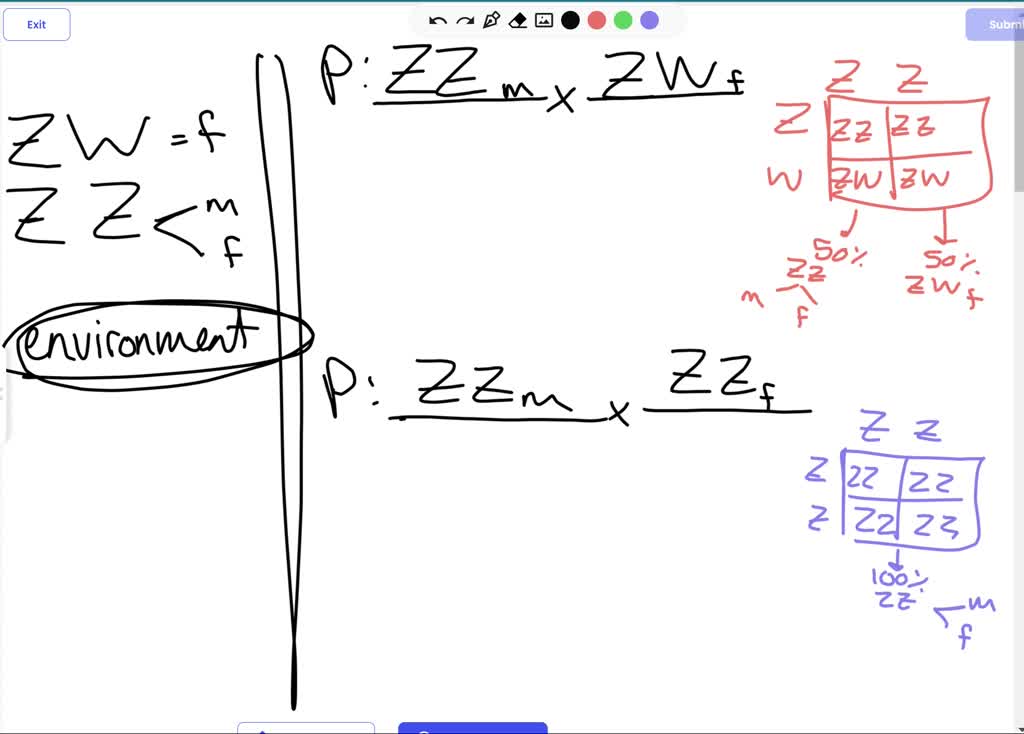 SOLVED: Show that the E-gene in turkeys is located on the Z-chromosome ...