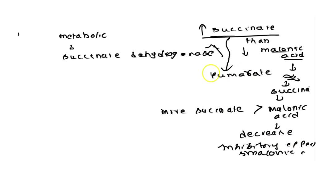 SOLVED: In a metabolic pathway, succinate dehydrogenase catalyzes the ...