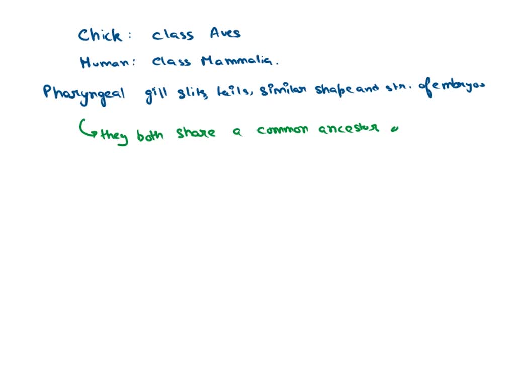 SOLVED: Scientists compare the structures of a chicken embryo and a ...