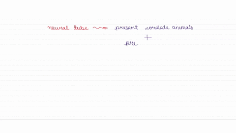 8 comparing to normal neural tube formation explain how...