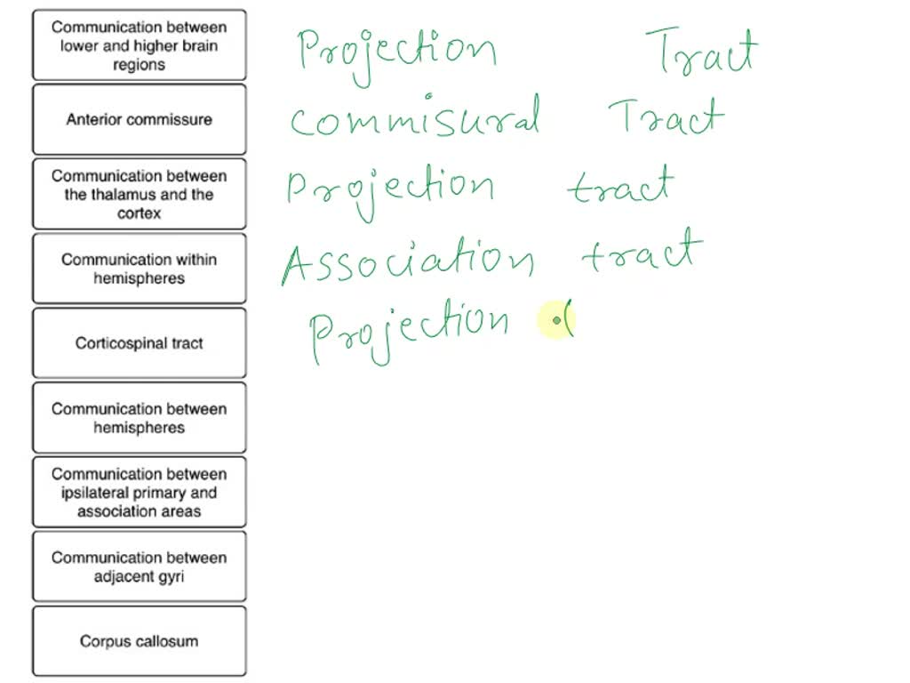 SOLVED: Drag each label to the appropriate box to indicate which type ...
