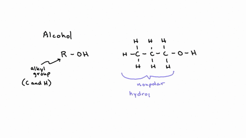 Focusing on alcohols how does solubility changes when the...