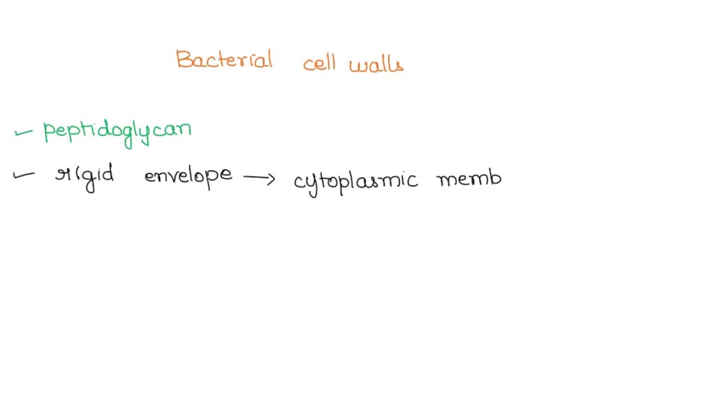 SOLVED: The site of energy production in a bacterial cell is known as a ...