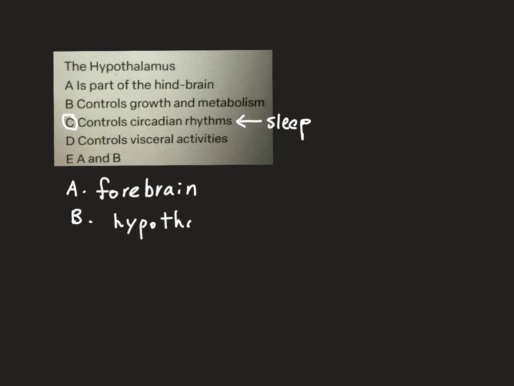 SOLVED: The Hypothalamus A Is part of the hind-brain B Controls growth and metabolism C Controls ...