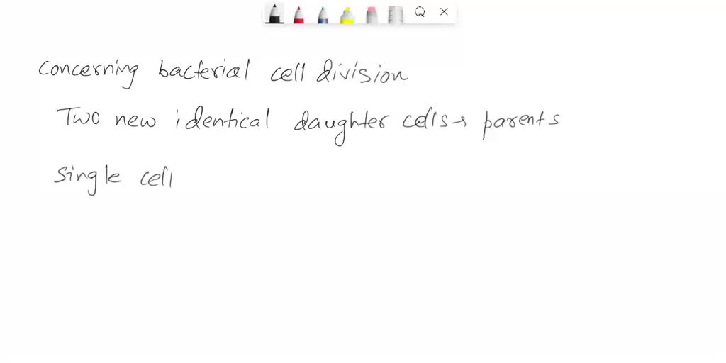 SOLVED: Durin a bacterial cell divides into two genetically identical ...