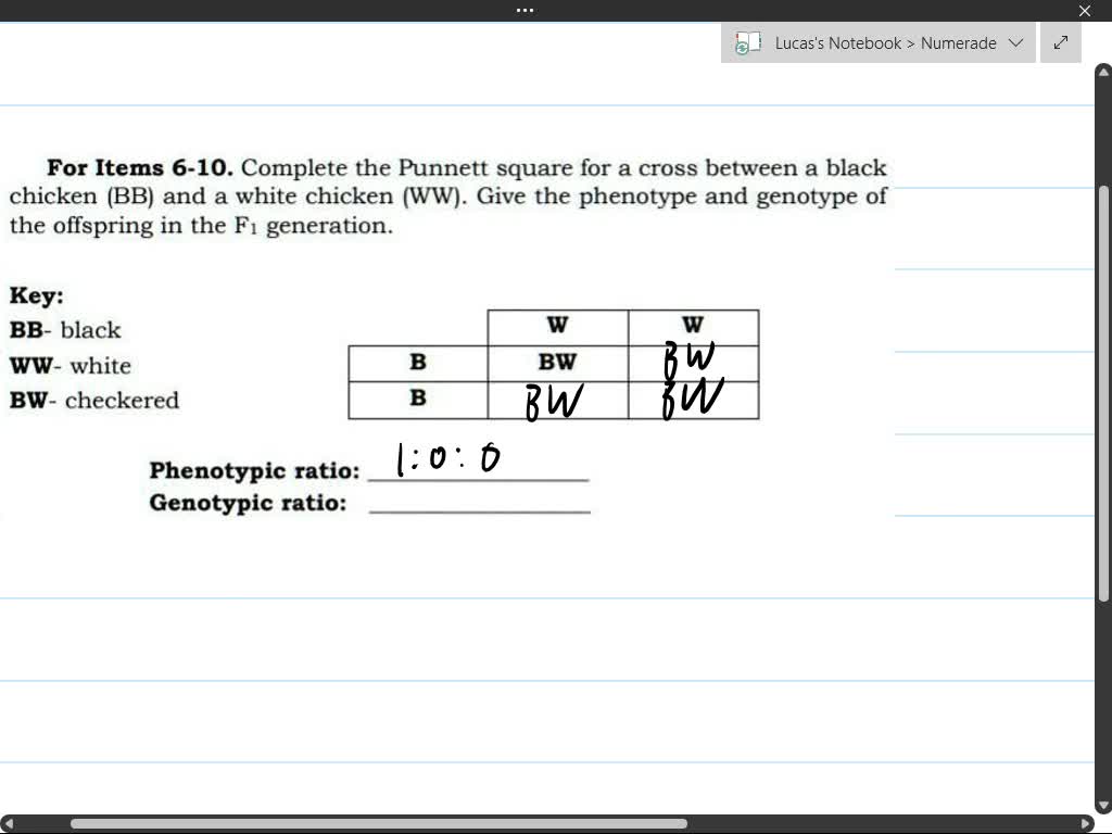 SOLVED: For Items 6-10, complete the Punnett square for a cross between ...
