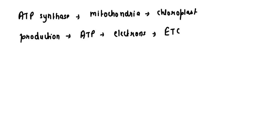SOLVED: Where is ATP synthase found? Select all that apply: the ...