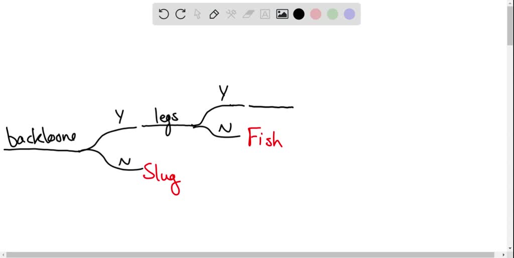 SOLVED: PART II - Create Your Own Cladogram To make a cladogram, you ...