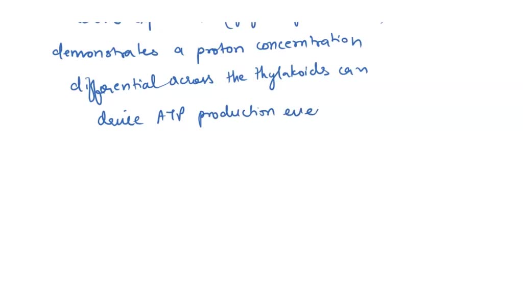SOLVED: In the dark, dp Chloroplast thylakoids Thylakoids transferred Equilibration Buffered ...