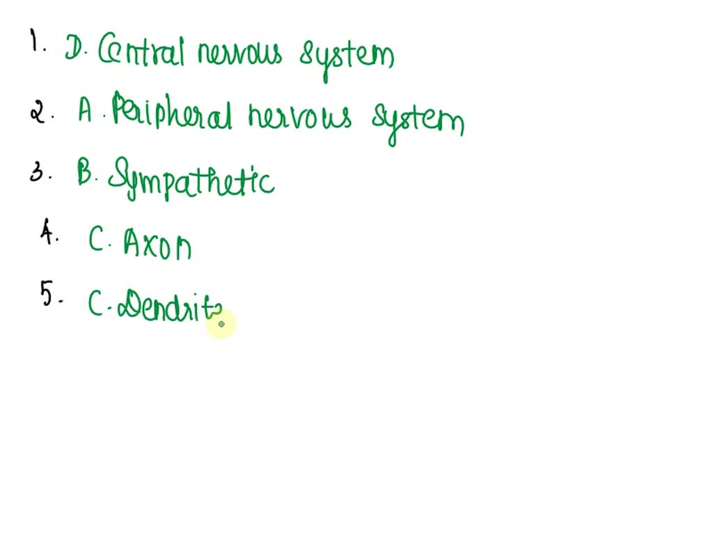 SOLVED: Multiple Choice Questions 1. The brain and spinal cord make up ...