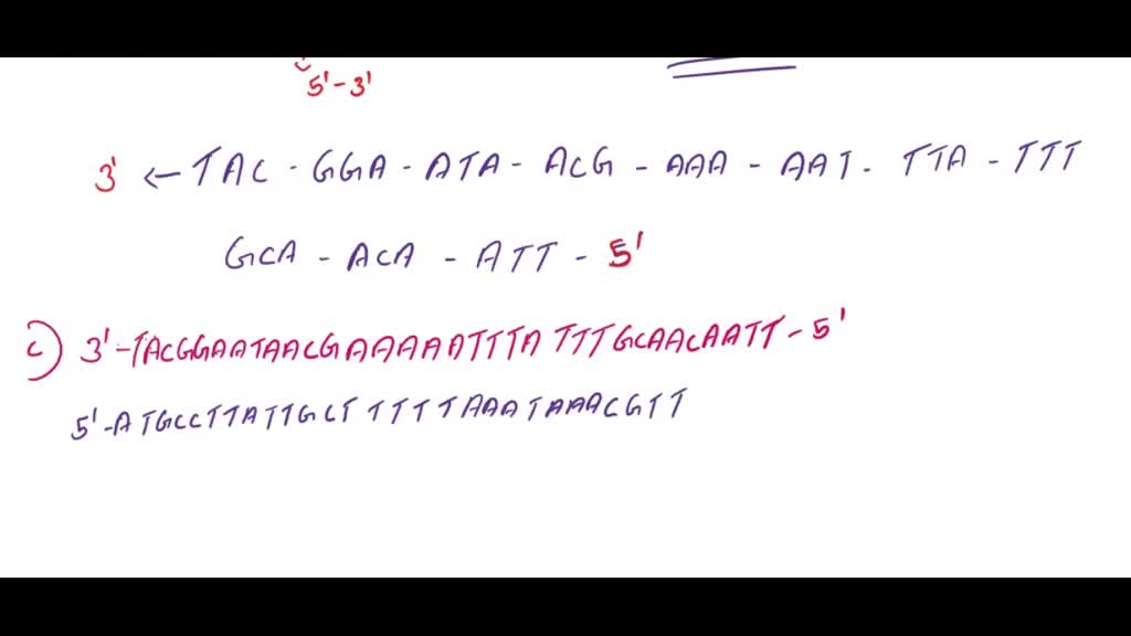 SOLVED: For the following amino acid sequence, fill in the following ...