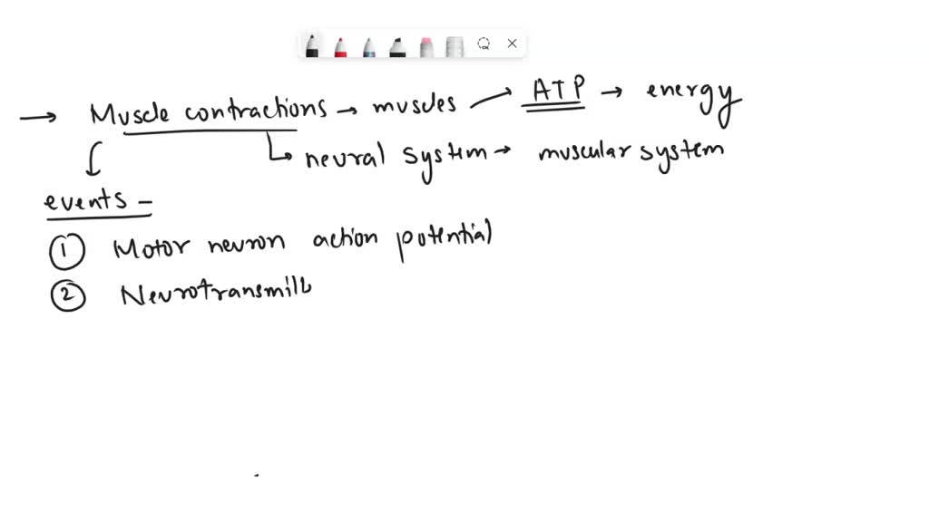 SOLVED: Which of the following is the correct sequence of events for ... SOLVED: Which of the following is the correct sequence of events for ...