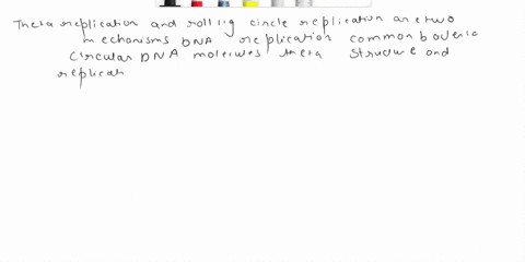 A structure commonly seen in circular DNA during replication is the ...