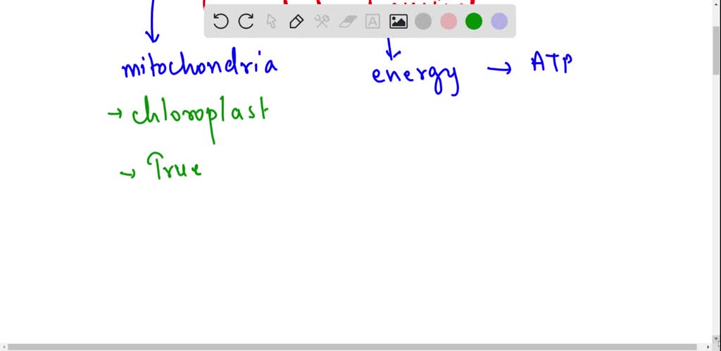SOLVED: If a plant cell were exposed to a toxin that made the thylakoid ...