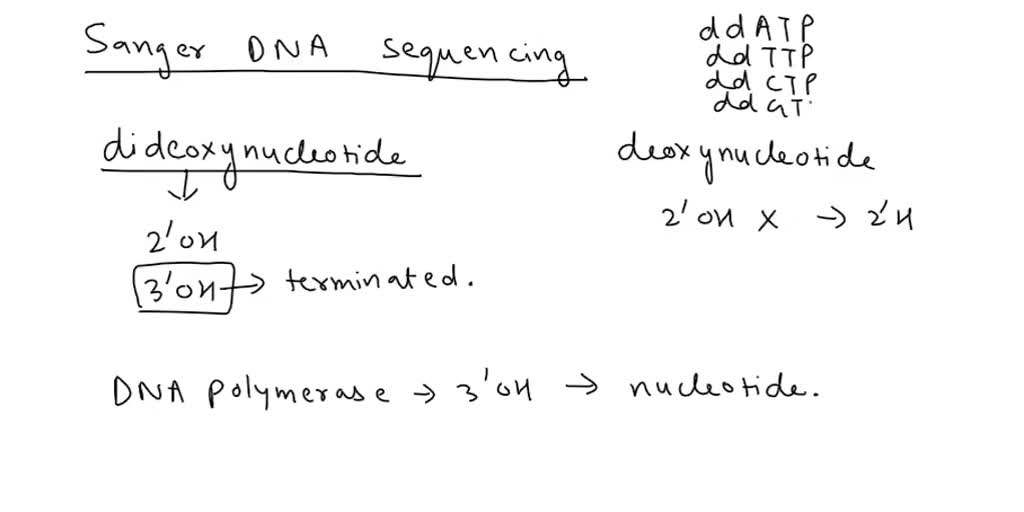 Solved Which Of The Following Does Not Correctly Describe An Aspect Of Traditional Dna 