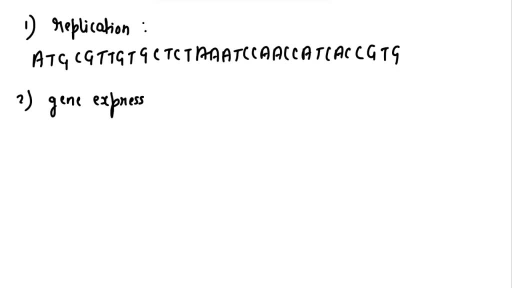 SOLVED: Title: DNA Replication and Gene Expression Text: Introduction DNA replication is the ...