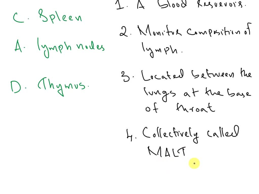 SOLVED: Text: Column A Column 1. A blood reservoir A. Lymph nodes 2 ...