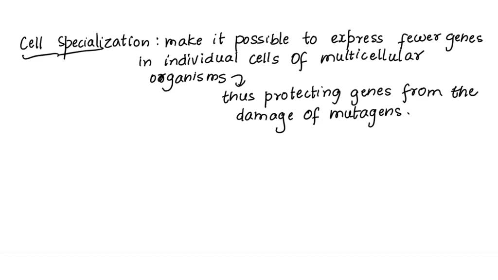 SOLVED: Can someone tell me why cell specialization is important for ...