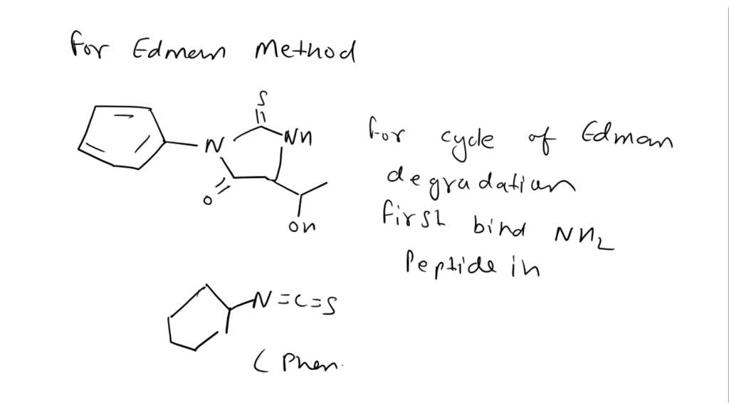 SOLVED: CccAnsci vestion 9 of 9 Suppose Kara has isolated a peptide and ...