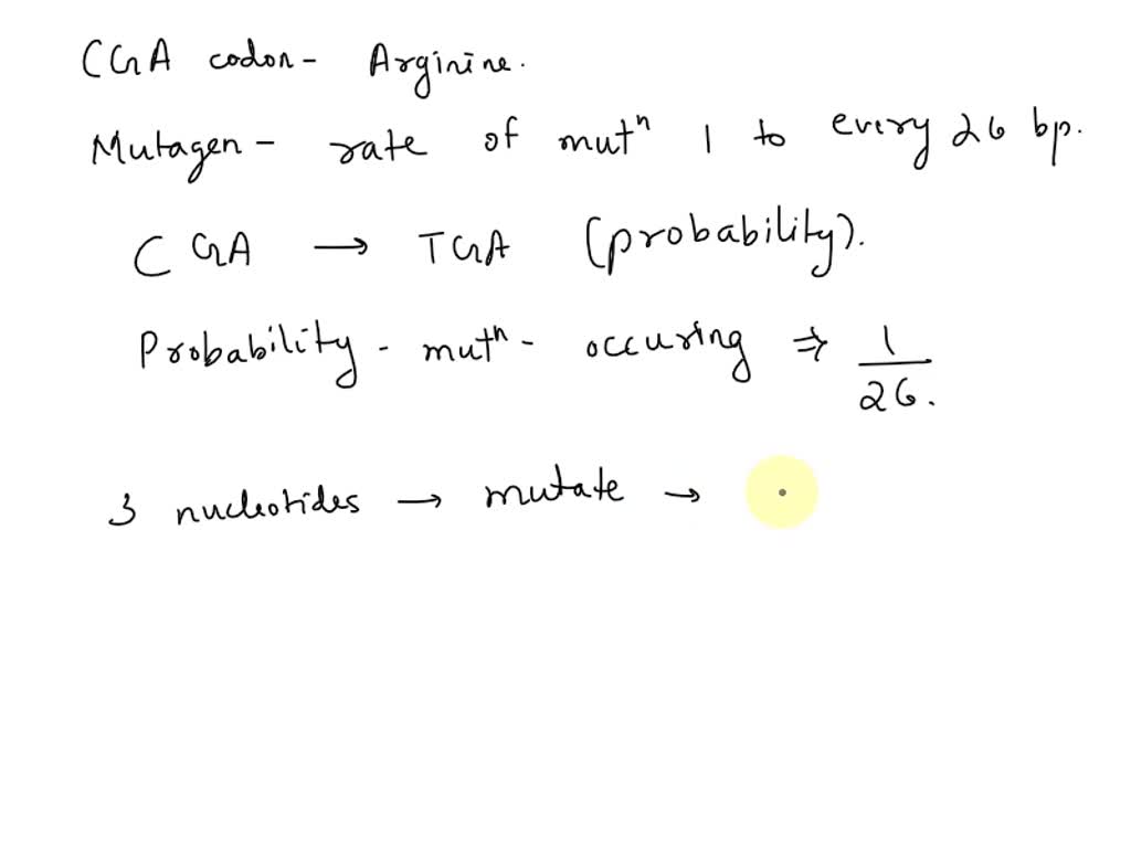 Solved Nucleotides Are U C A G 4 3 64 Unique Codons 20 Amino