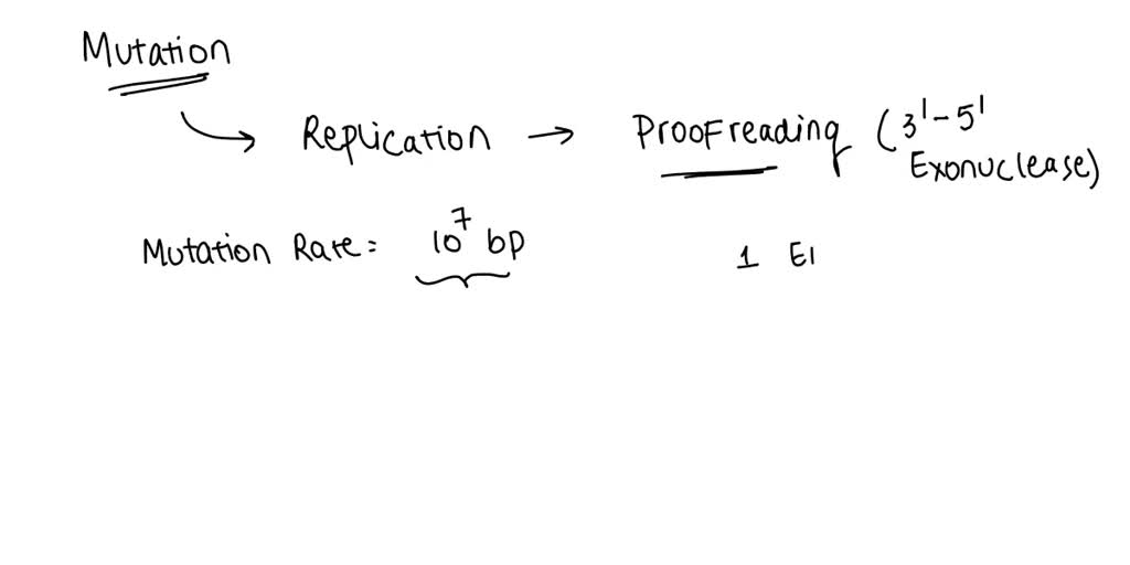 SOLVED: The mutation rate in bacteria is about 3 nucleotide changes per 10 billion nucleotides ...