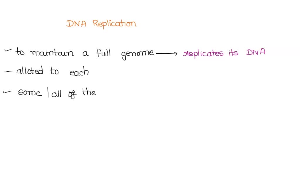 SOLVED: Why is it important that DNA replication take place before cell ...