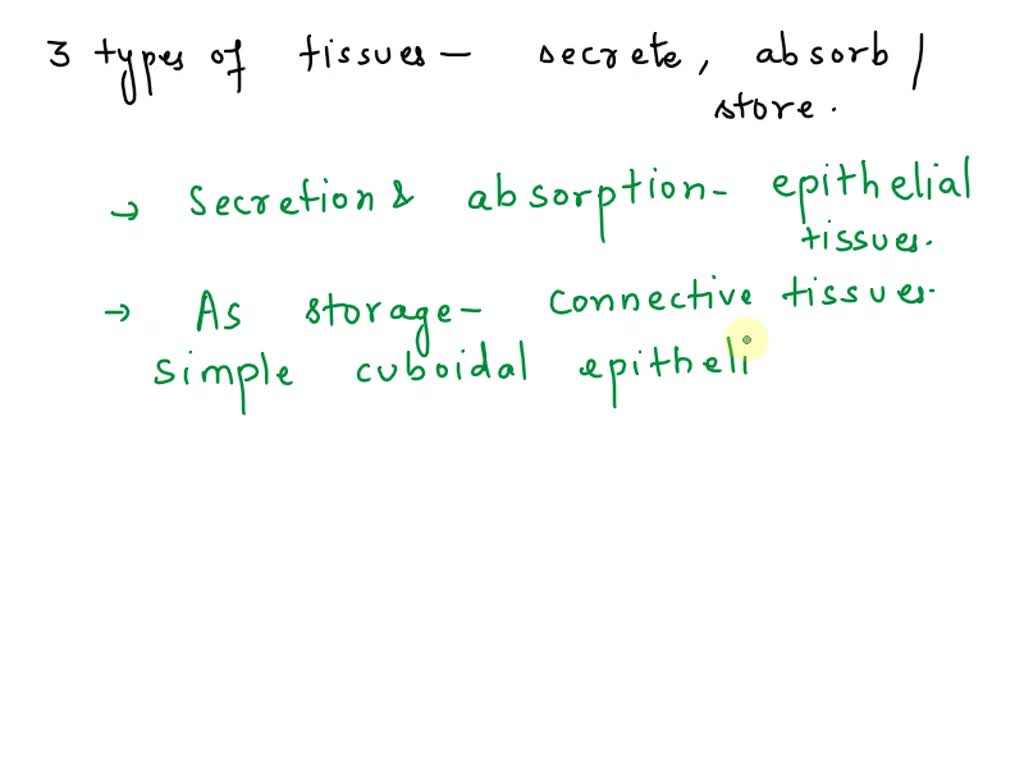 SOLVED: what are 3 types of tissue that either secrete, absorb or store ...
