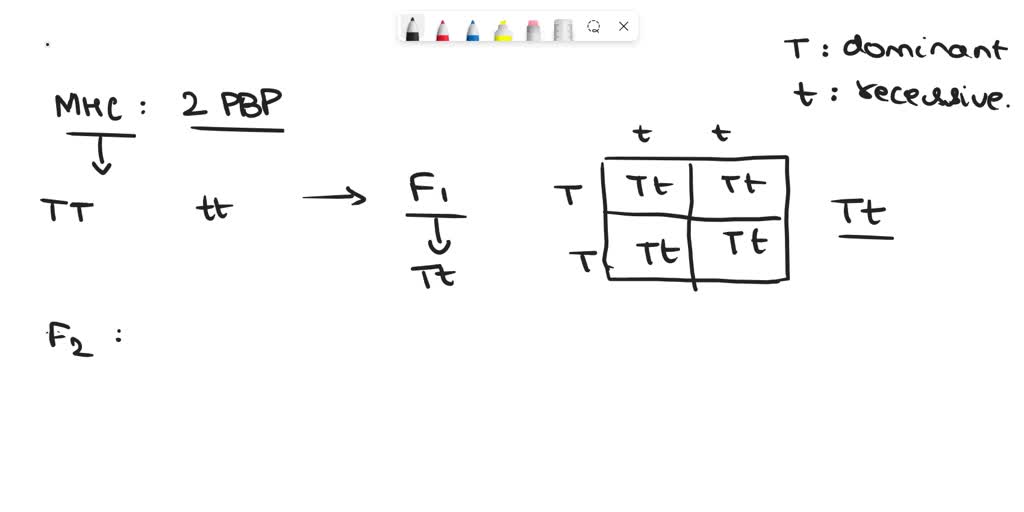 SOLVED: A 3.1 phenotypic ratio in the F2 generation of a monohybrid ... SOLVED: A 3.1 phenotypic ratio in the F2 generation of a monohybrid ...