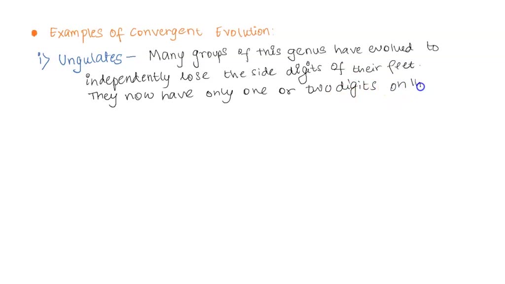 Find two additional examples of convergent evolution among the ...