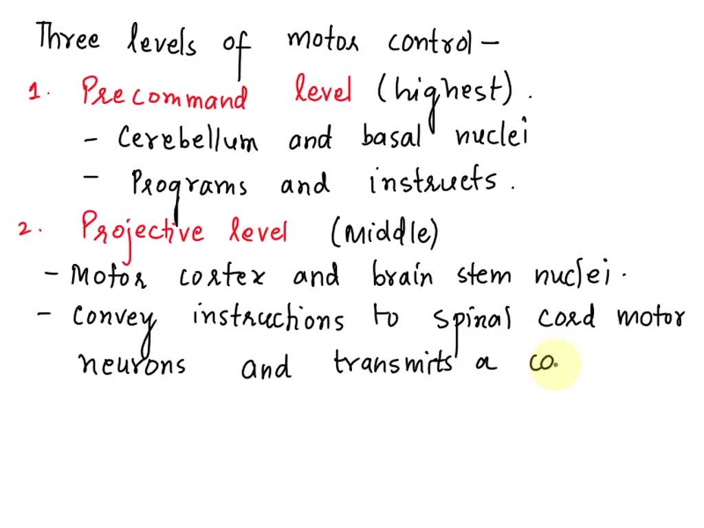 SOLVED: Part A Which of the following lists the hierarchy of motor control from lowest to ...