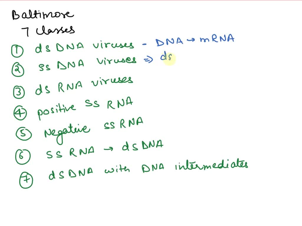SOLVED: Describe the classes of viruses based on their genomic ... SOLVED: Describe the classes of viruses based on their genomic ...