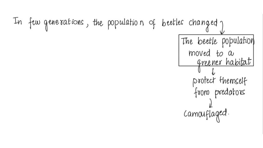 SOLVED: in a few generations, this population of beetles changed. which is the most likely ...